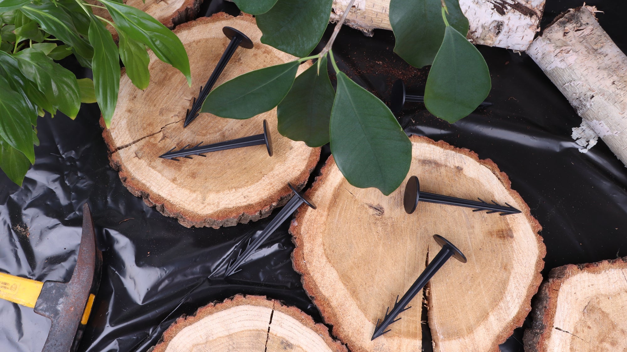 GARDENIX: Decorative Lawn Edging | Securing Pegs for Weed Barrier